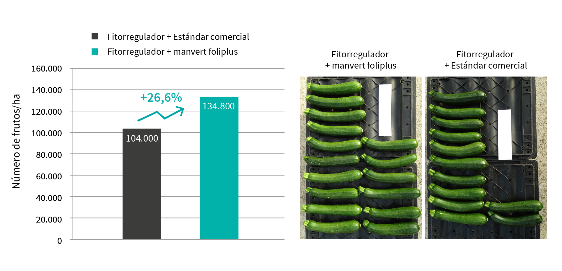 Bioestimulante manvert foliplus - Para todos los cultivos